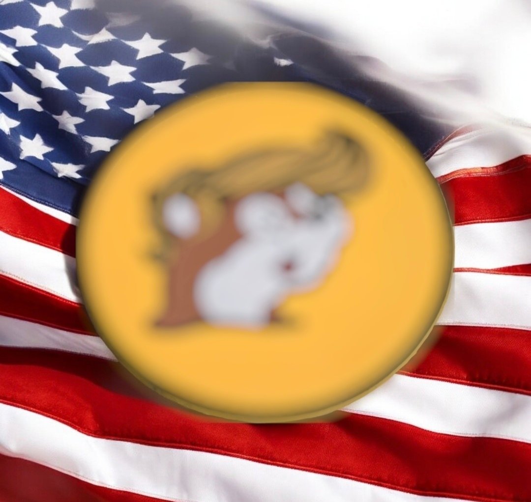 Trump-ee's Patch | Gun Slaps