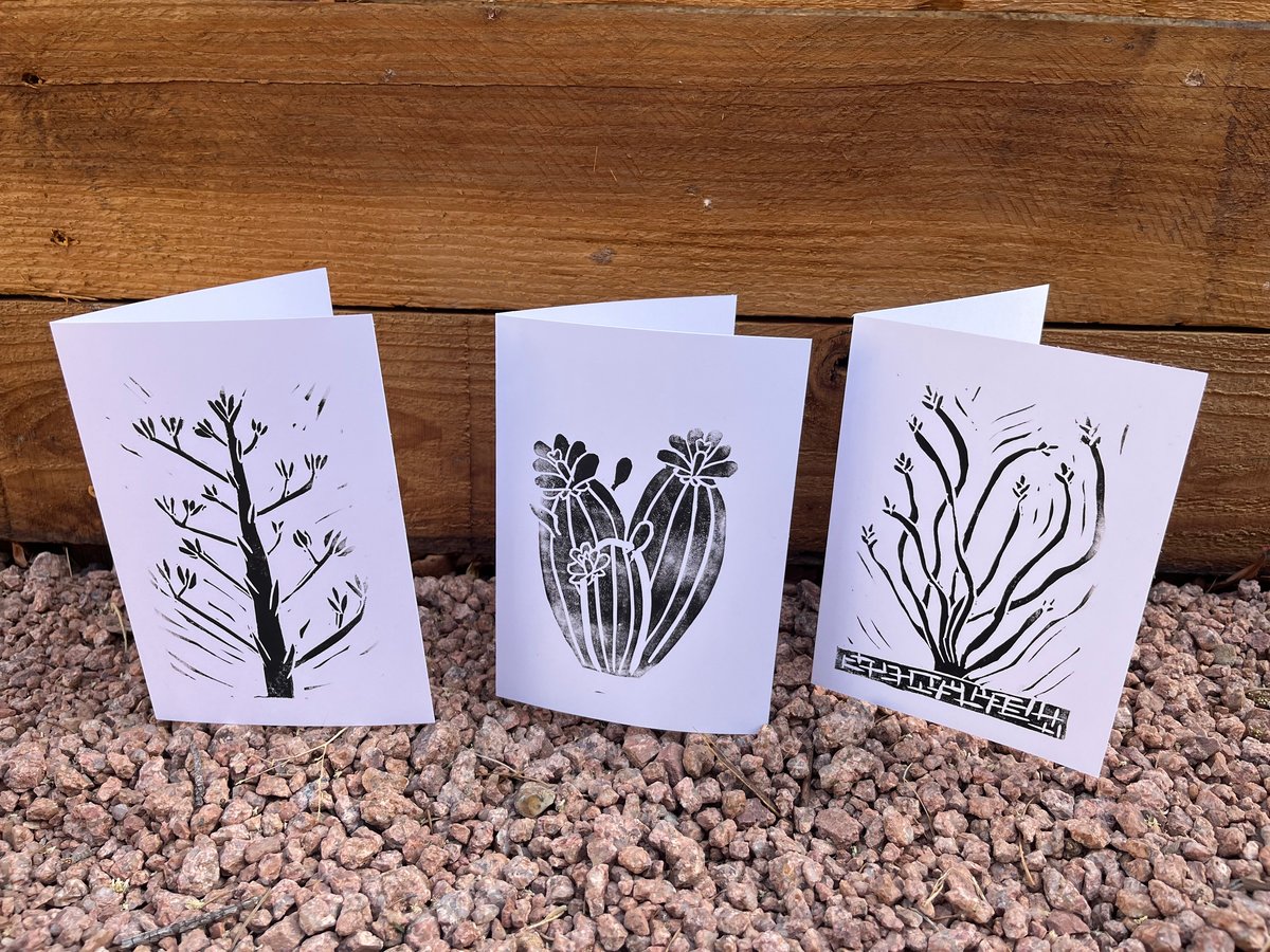 Desert Plants Cards | Agave Artworks