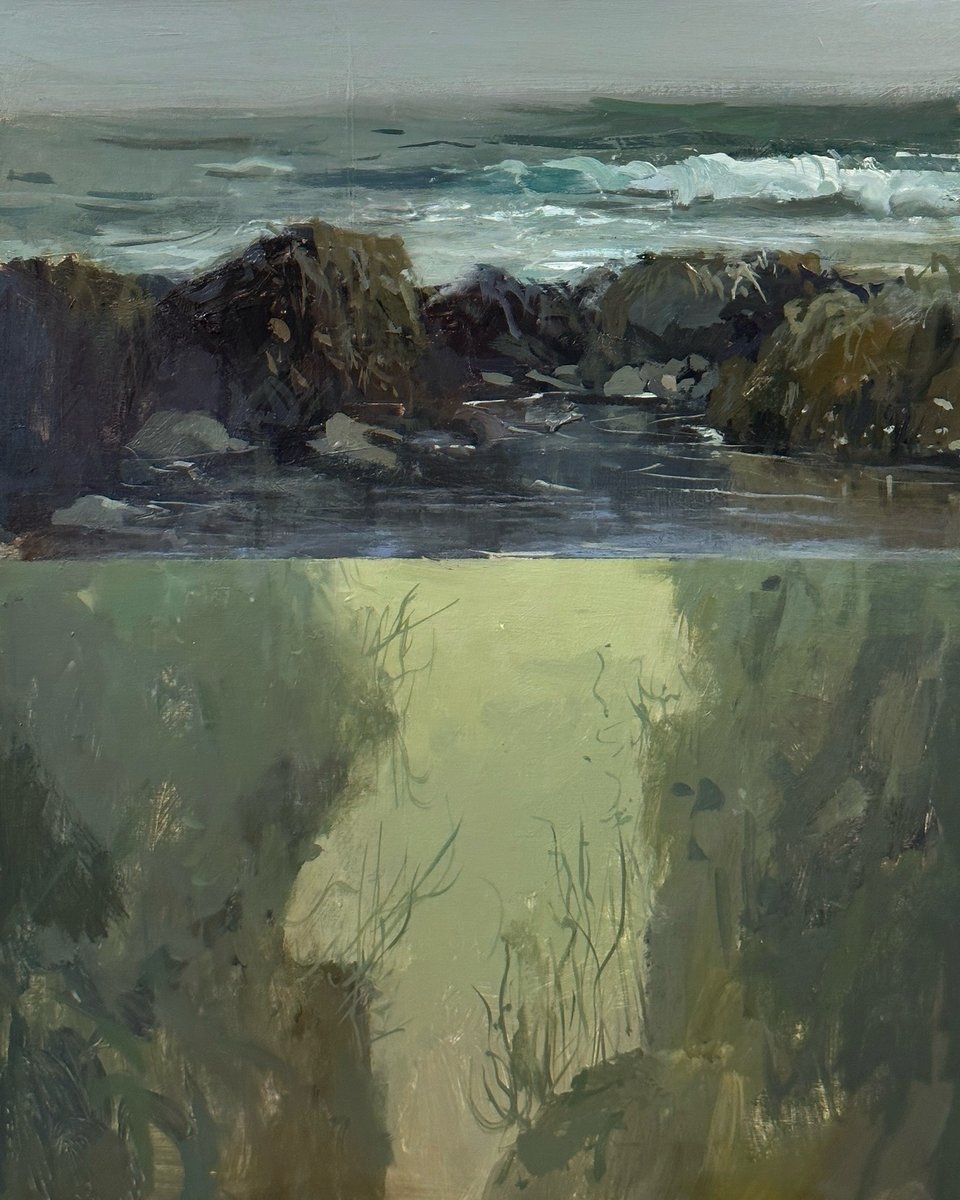 Tide Pool 2 | Jeremy Miranda