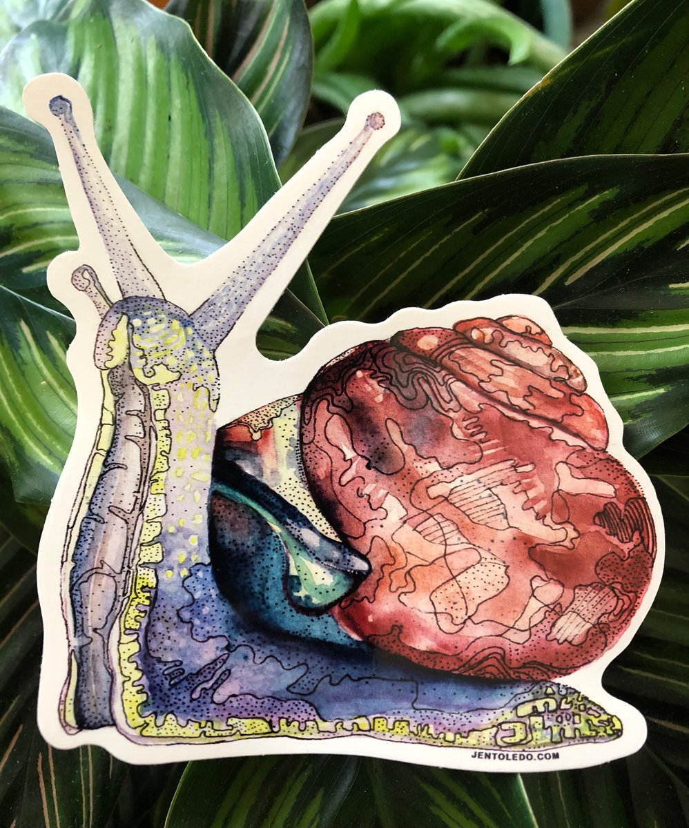 Snail Sticker 🐌 | Jen Toledo