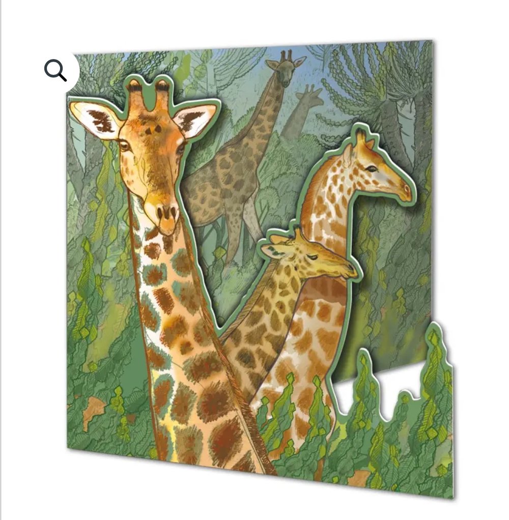 Greetings Cards | Shelly Perkins Wildlife Art