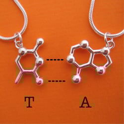 DNA/RNA friendship necklaces | Made With Molecules