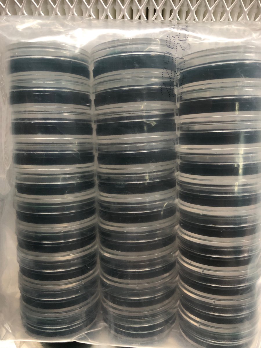 Pre poured 35mm plates | A CUT ABOVE BENEVOLENCE