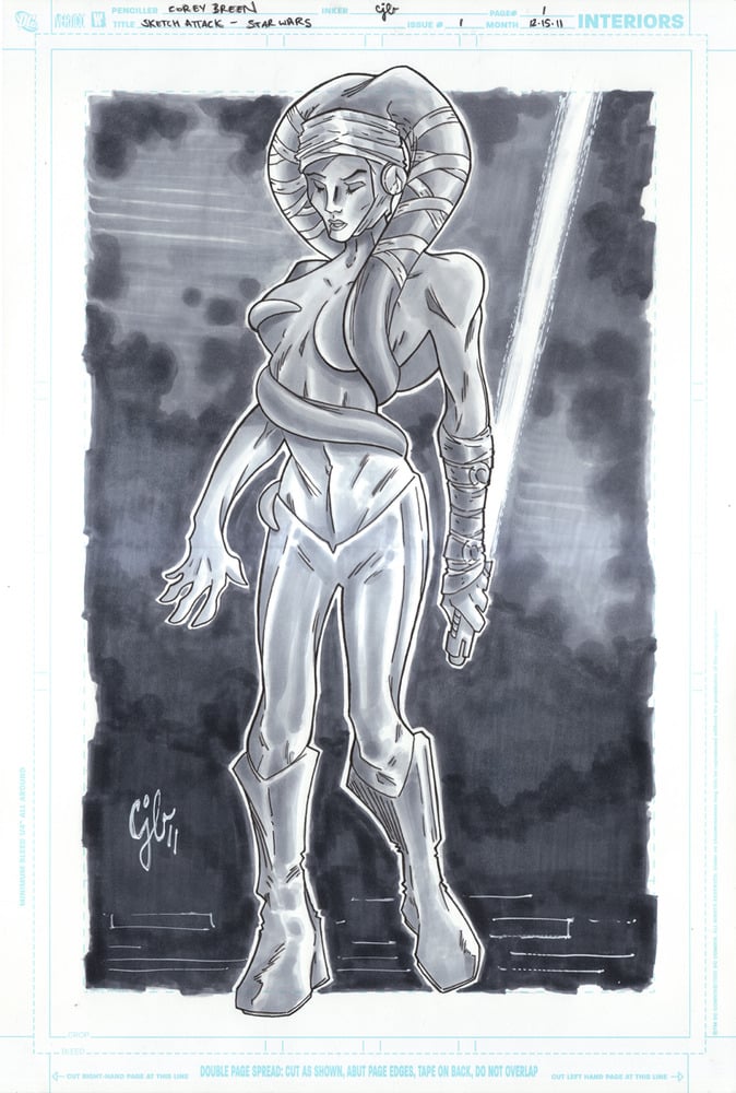 Corey Breen Store — Aayla Secura from Star Wars