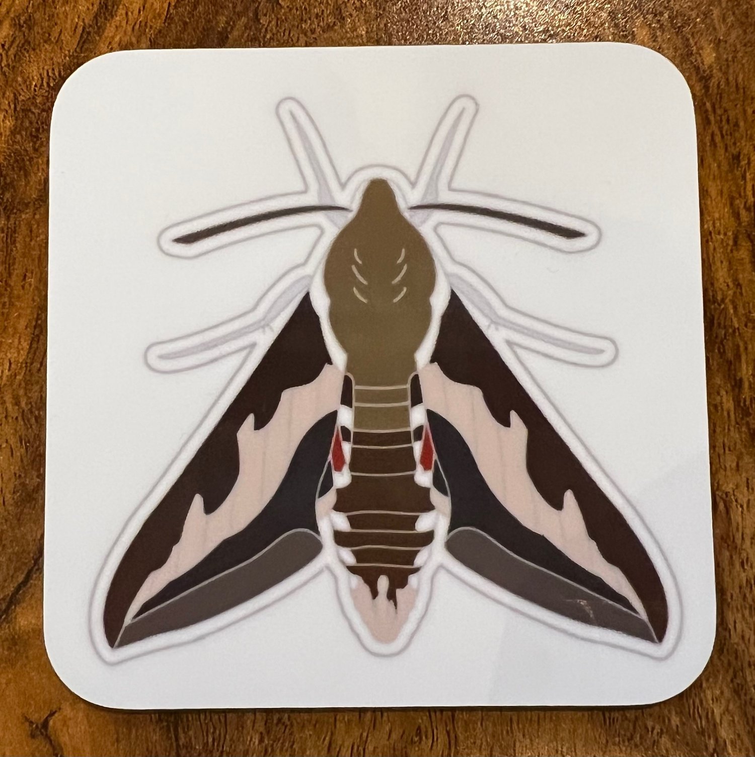 Bedstraw Hawk-moth - No.1 - Hawk-moths Series | UK Birding Pins