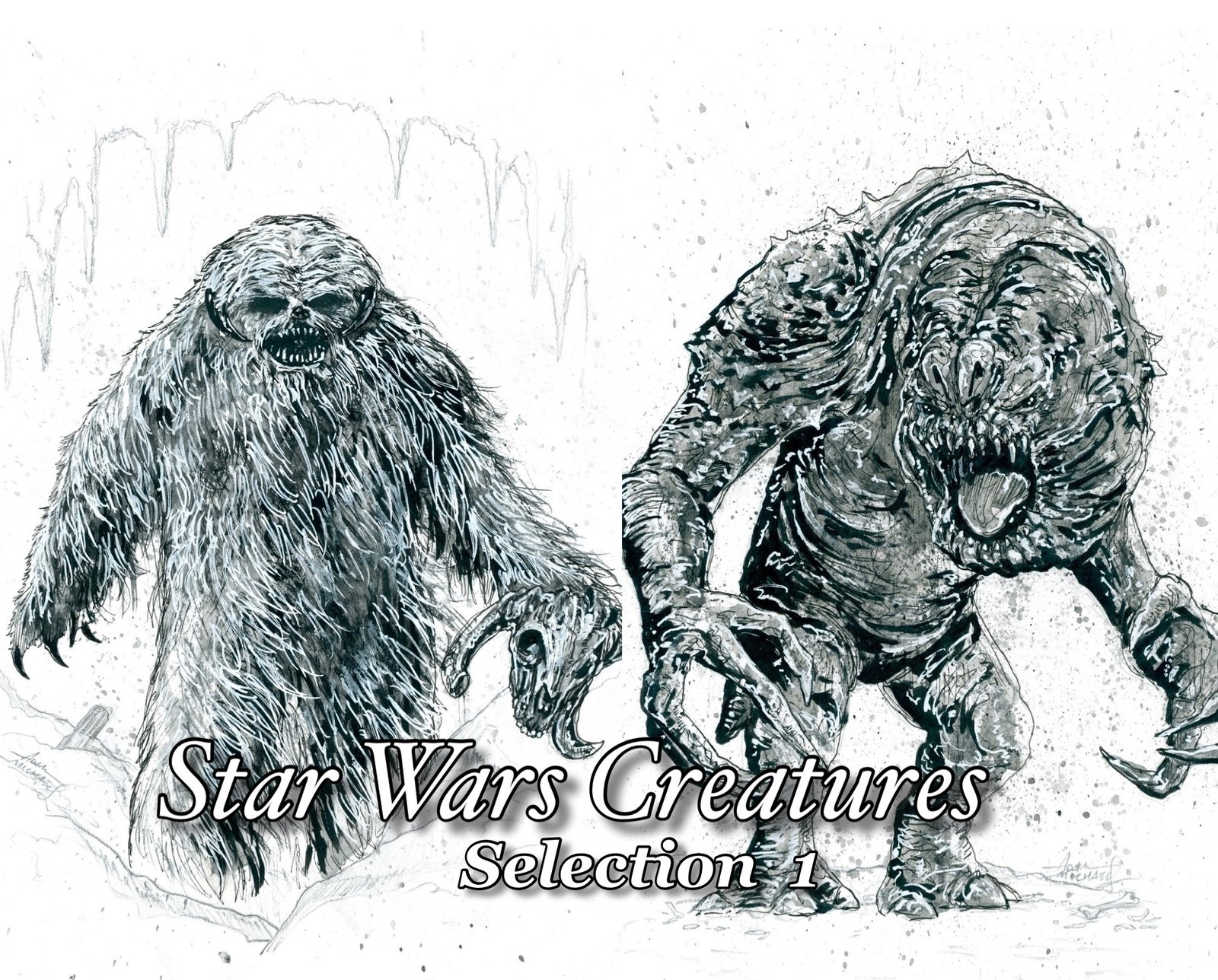 Star Wars Creature Series Print Selection | Adam’s Artbox