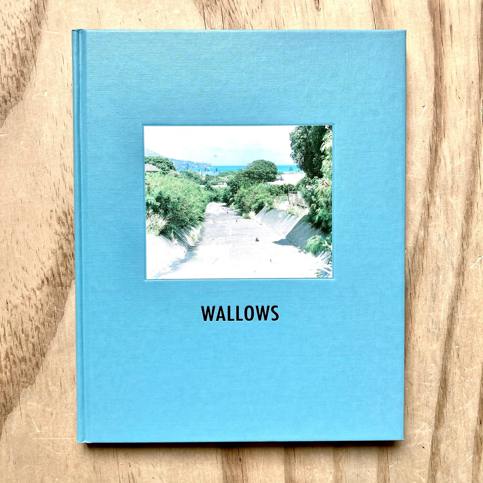 Taro Hirano - I Haven’t Seen Him: Wallows (Numbered) | Photobook Junkies