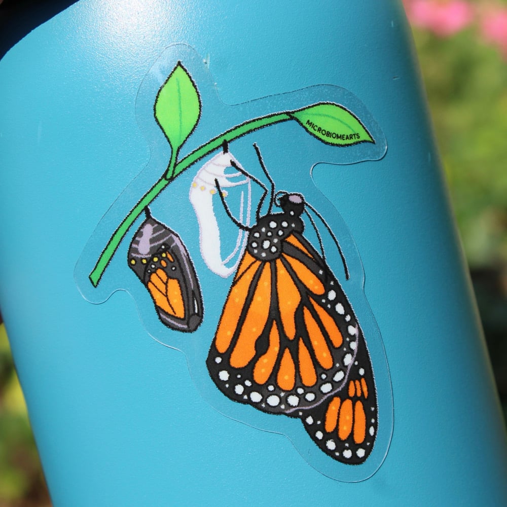 Emerging Monarch Clear 3” Sticker | Microbiome Arts