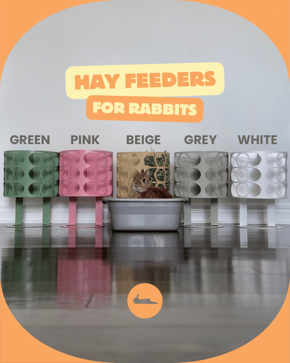 Mrs. CleanHay Ⓓ - High Quality Metal Double Hay Feeder for Rabbits ...