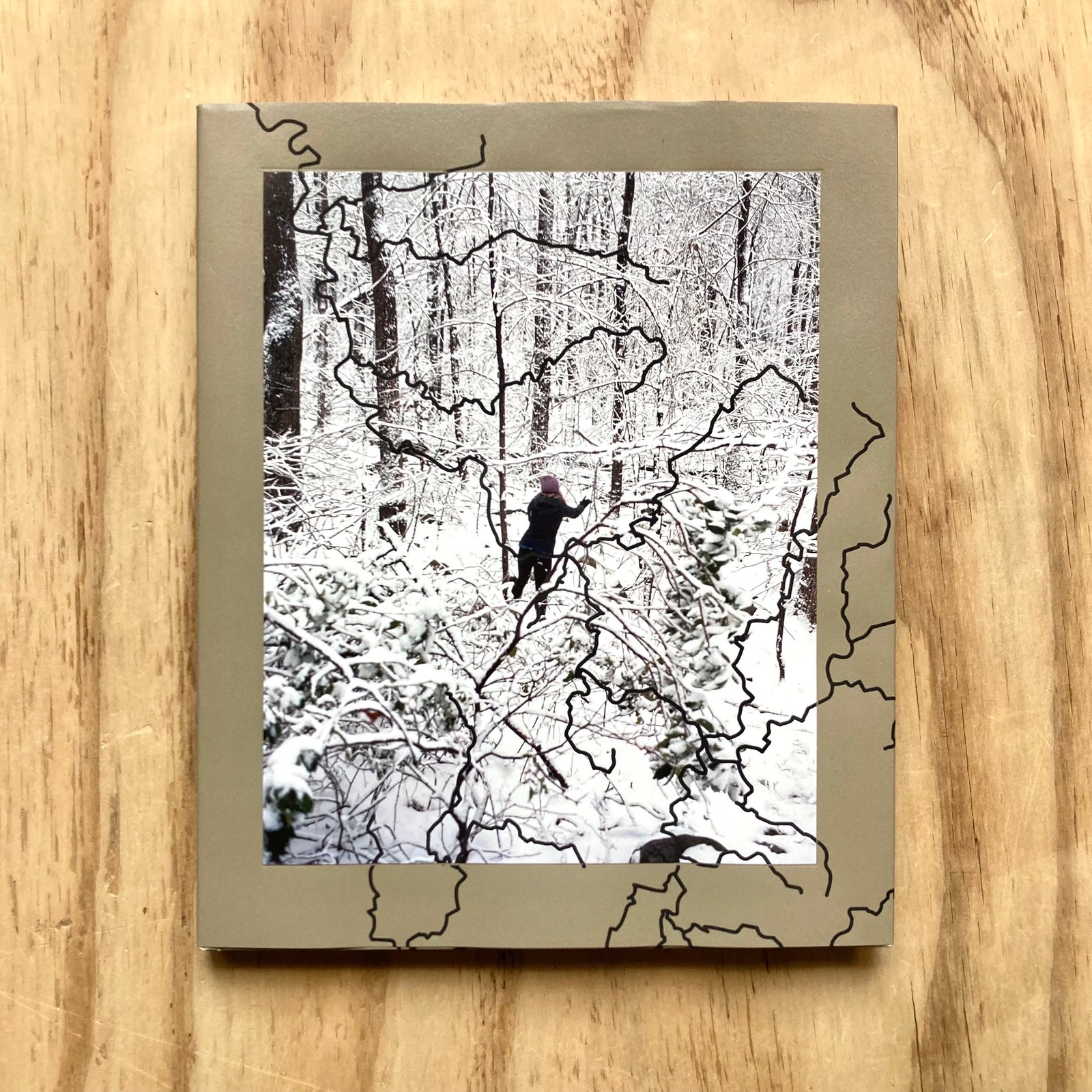 Jake Reinhart - Laurel Mountain Laurel | Photobook Junkies