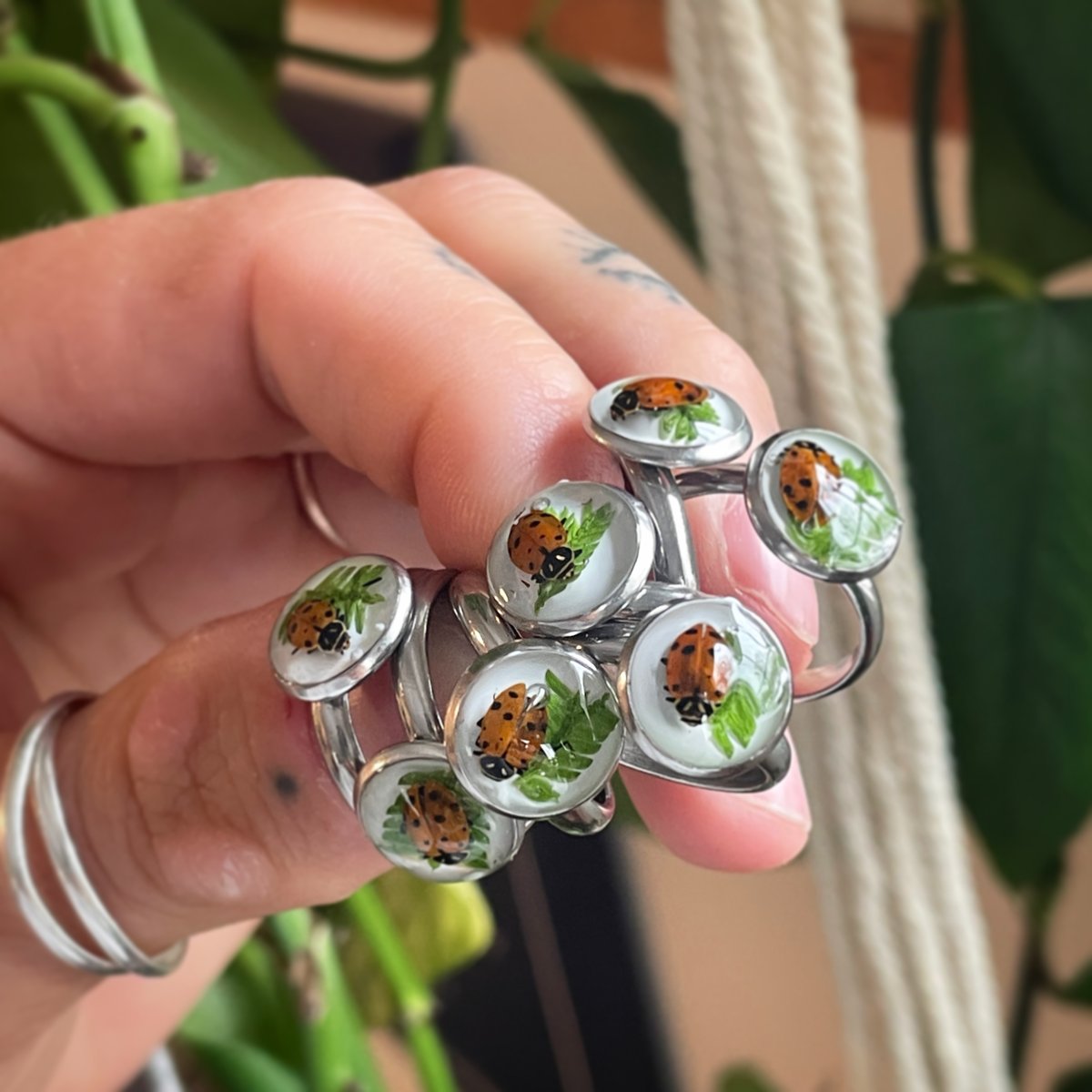 Ladybird Rings | Muh.Kaa.Bruh