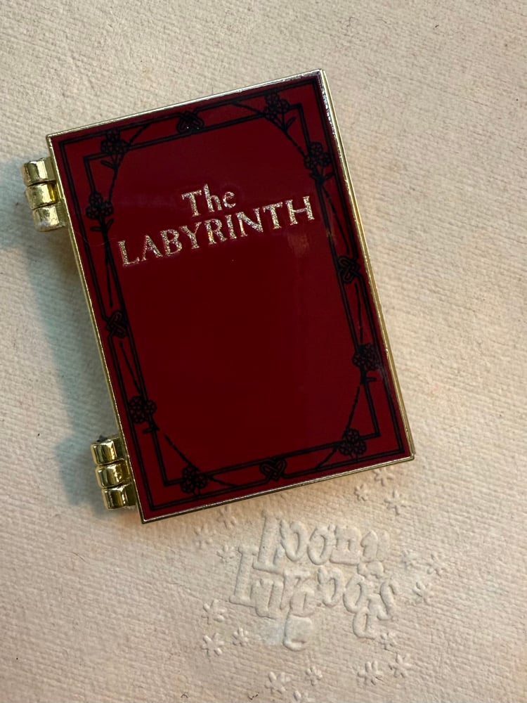 Labyrinth Book | Loony LuvGoods