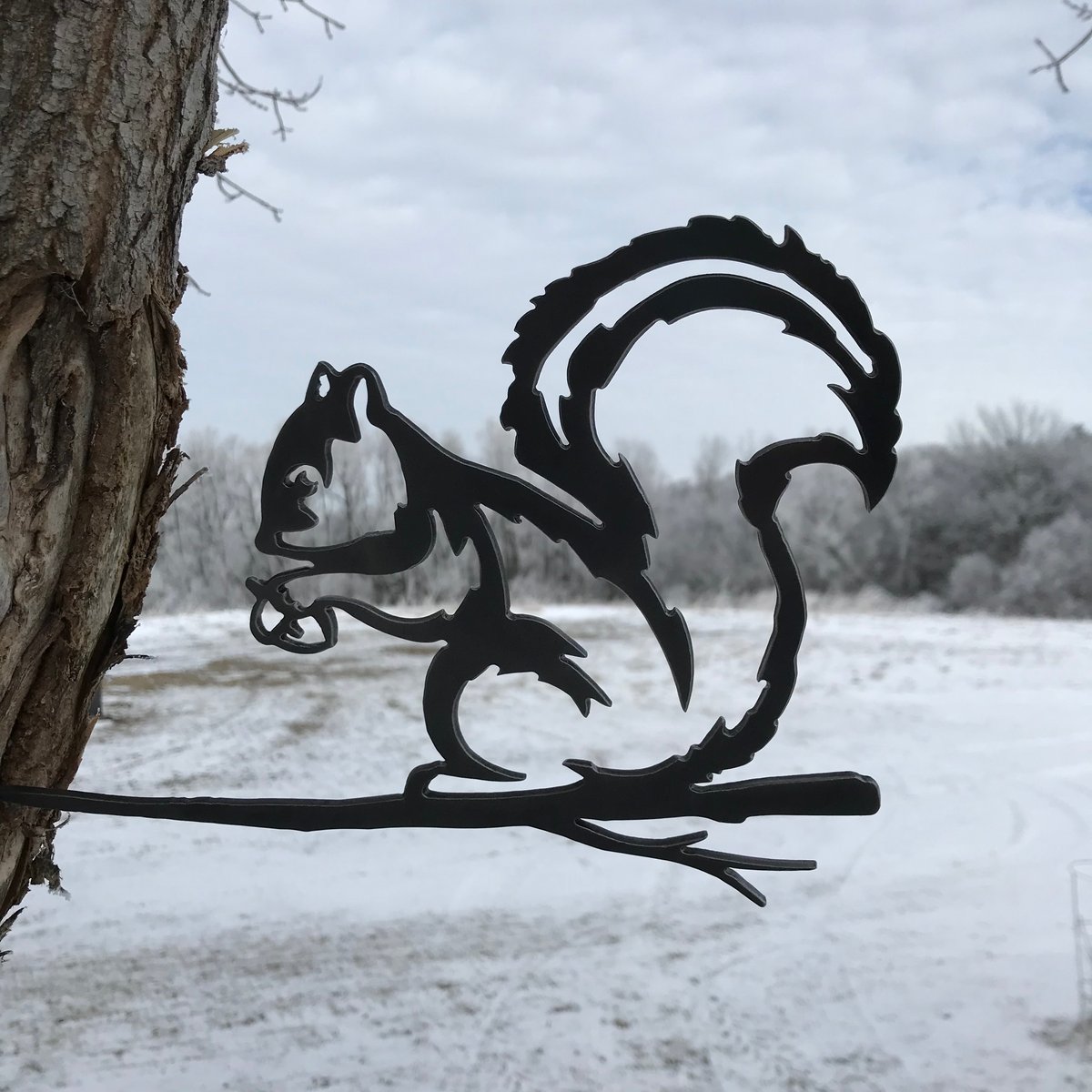 Squirrel | Ricki and Sons