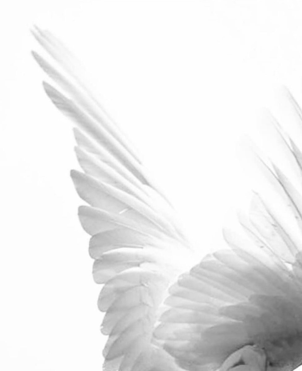 Aurelia Oracle Session | Ask Aurelia | The Angelic Pathways Spiritual ...