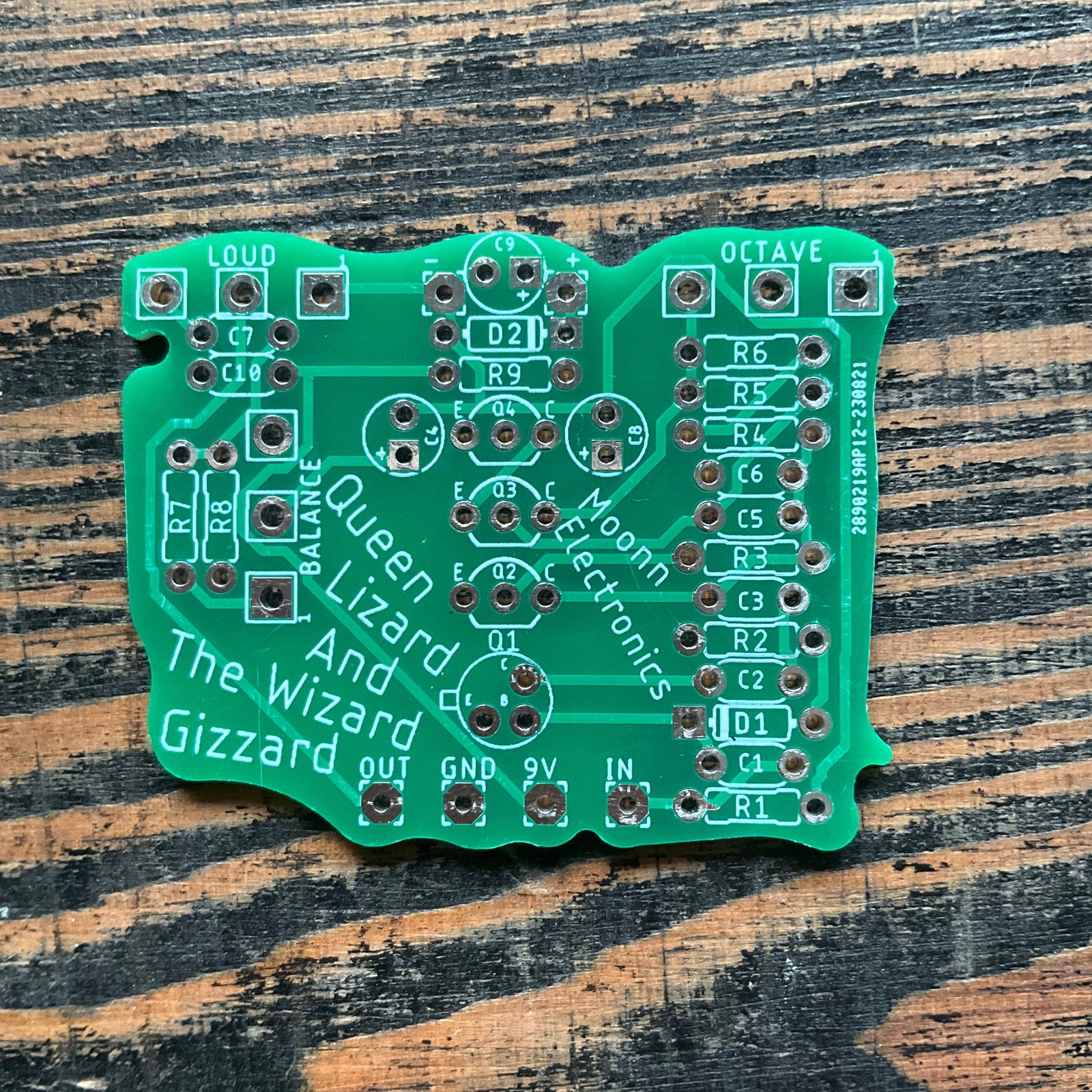 Queen Lizard and the Gizzard Wizzard | Moonn Electronics