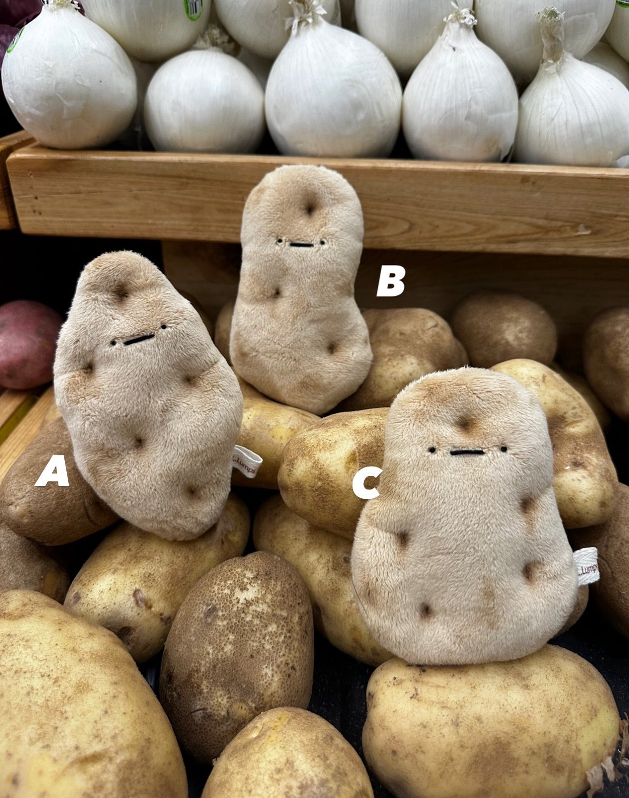 Regular Potatos (each Sold Separately) | Little Lumps