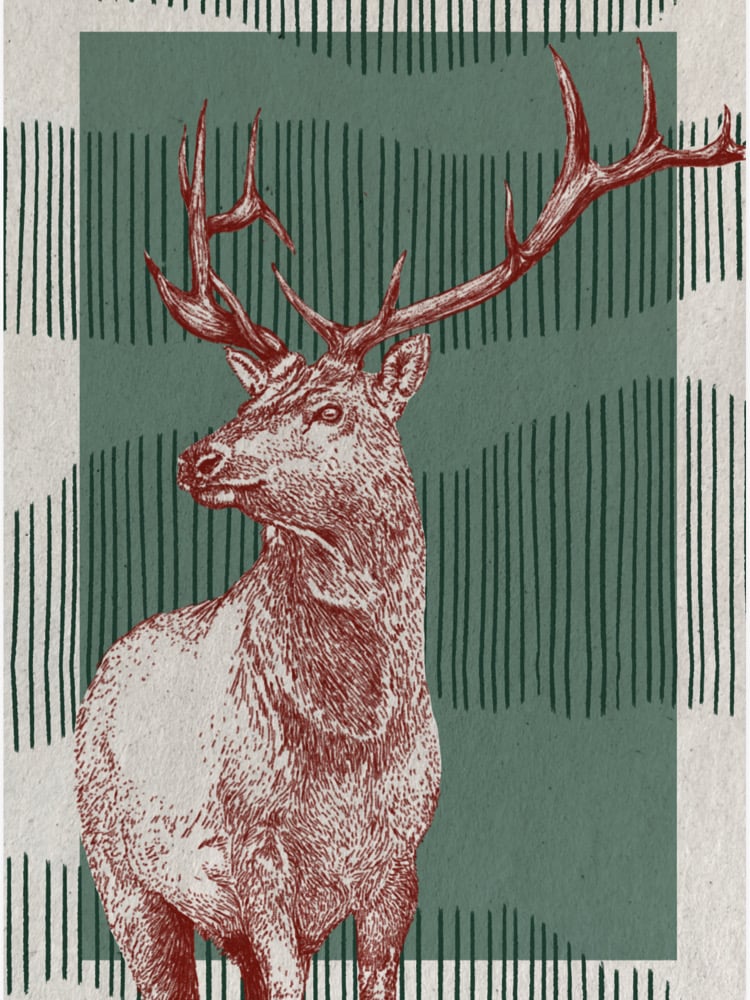 Red Stag 8” x 10” Print | Hidden Julles