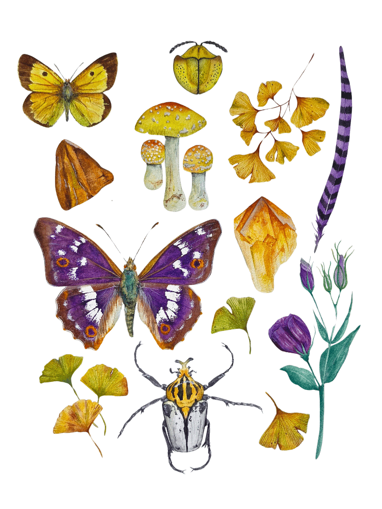 Gemini Nature Chart PRINT | Nussay Watercolor