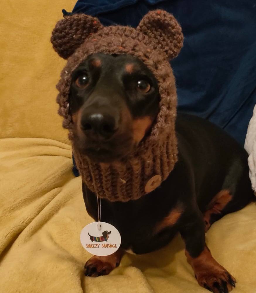 Bear Snood | Snazzy Sausage Dog Jumpers