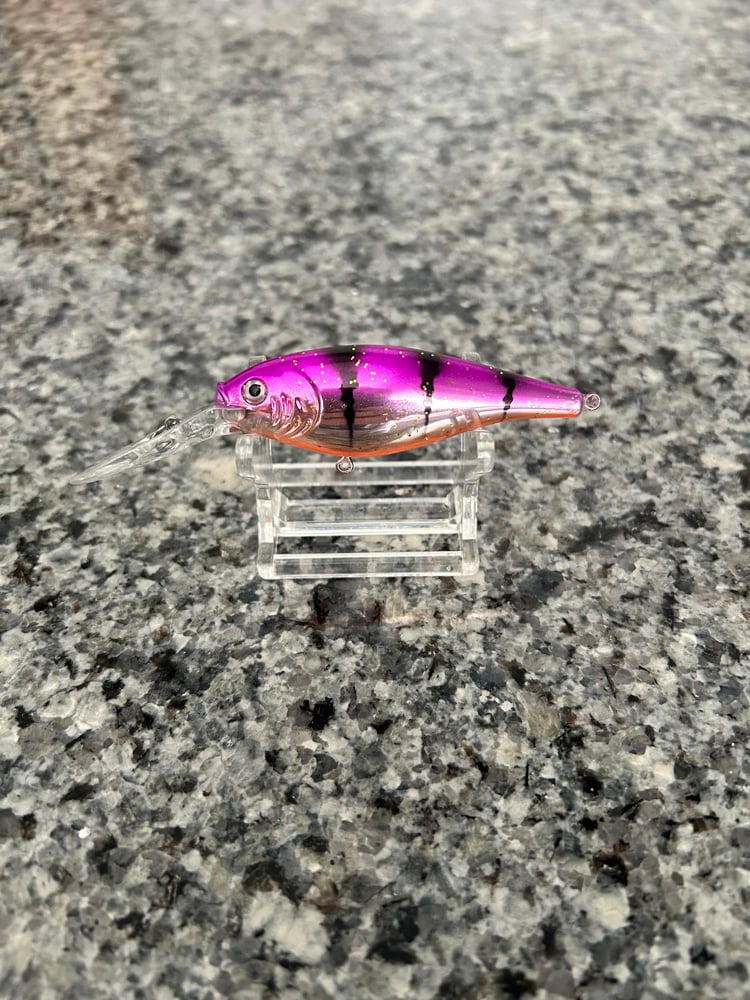 Purple Tiger shad 7 | Frank The Tank Custom Lures