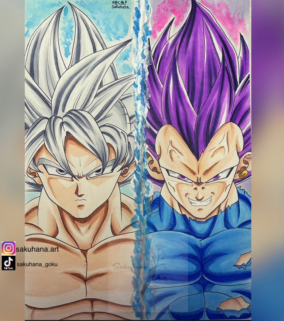 Goku UI & Vegeta Ultra Ego | Sakuhana Art