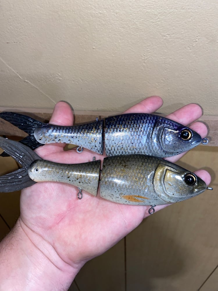 7” shiner profile | Toms Custom Baits