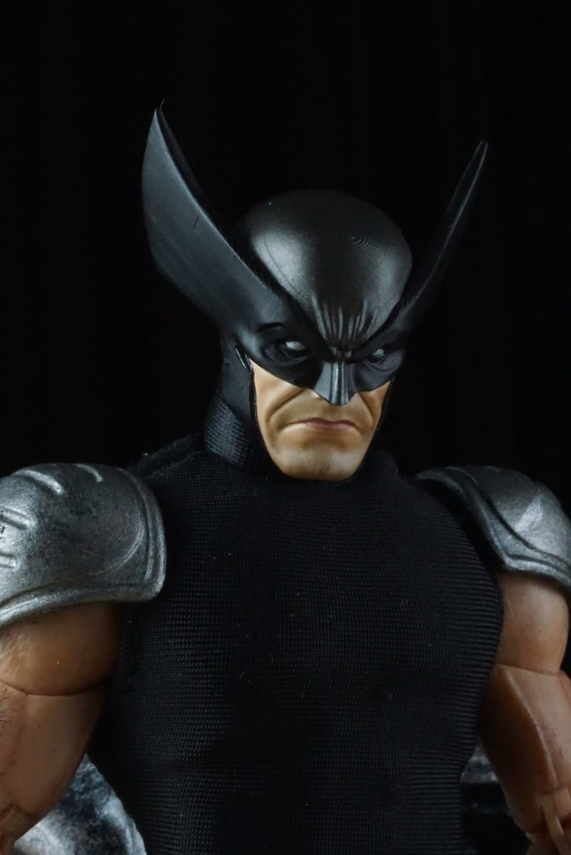 Immortal Element Savage | Eries by tarest.afterhours