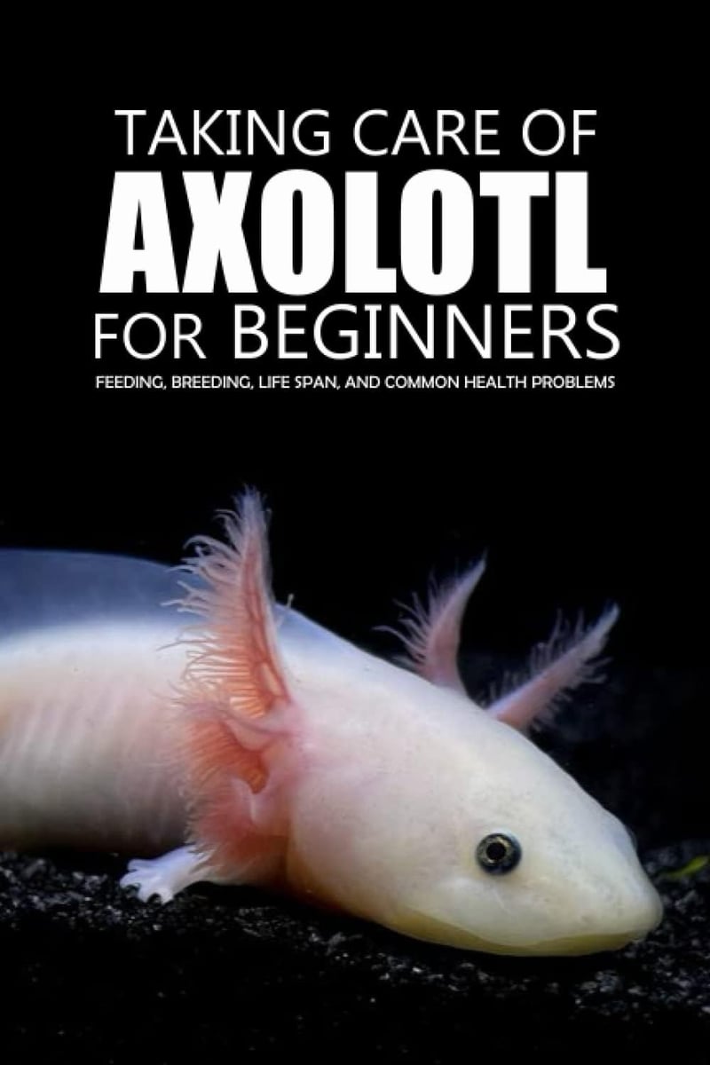Taking Care of Axolotl for Beginners: Feeding, Breeding, Life Span, and ...