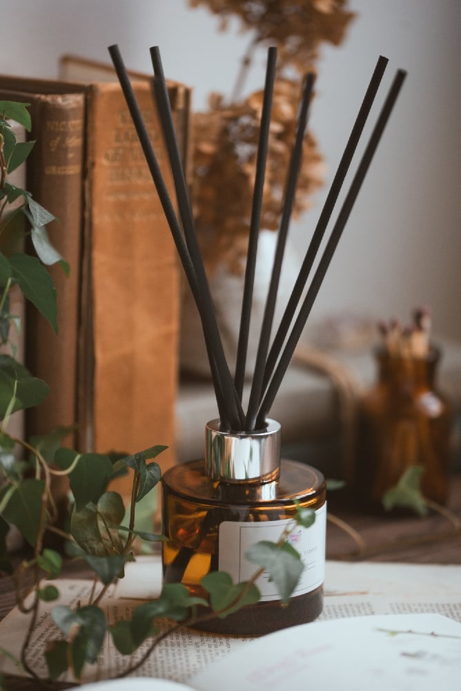 Scottish Raspberry Reed Diffuser | Dragonfly Melts