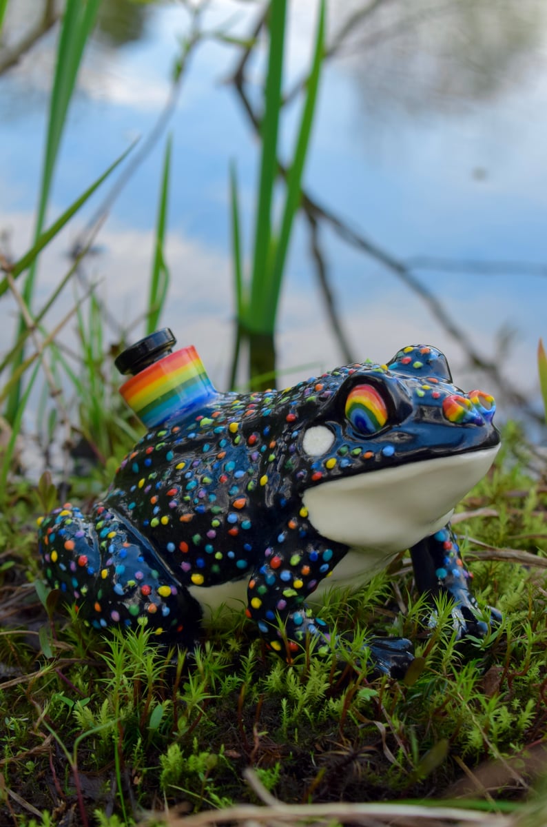Onyx Rainbow Frog | dcn porcelain