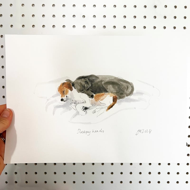 Zoomies - 30x30cm Giclee Print | Jenny Bloomfield Illustration