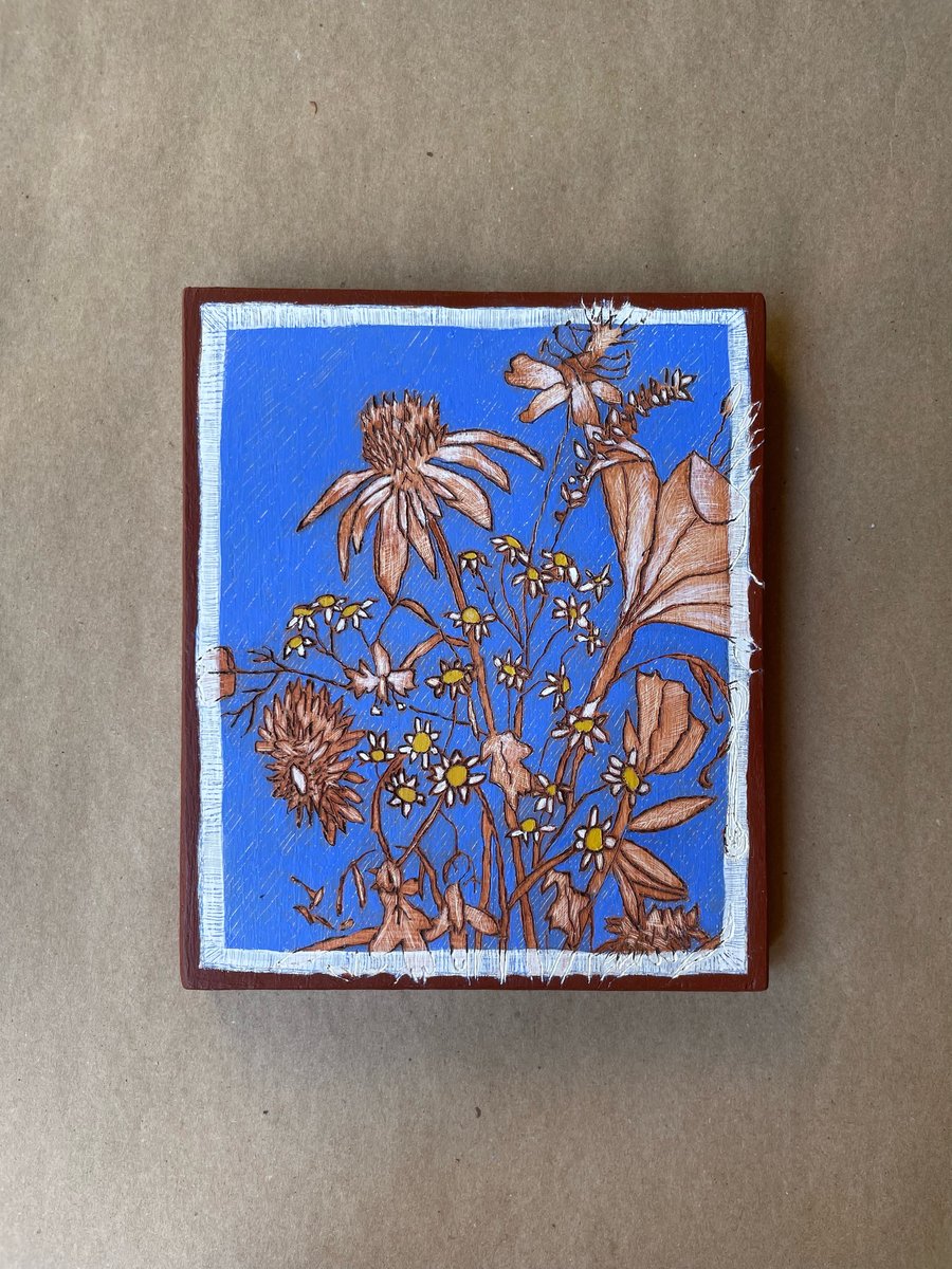 Coneflower and Daisies | Zoe Klosterwill