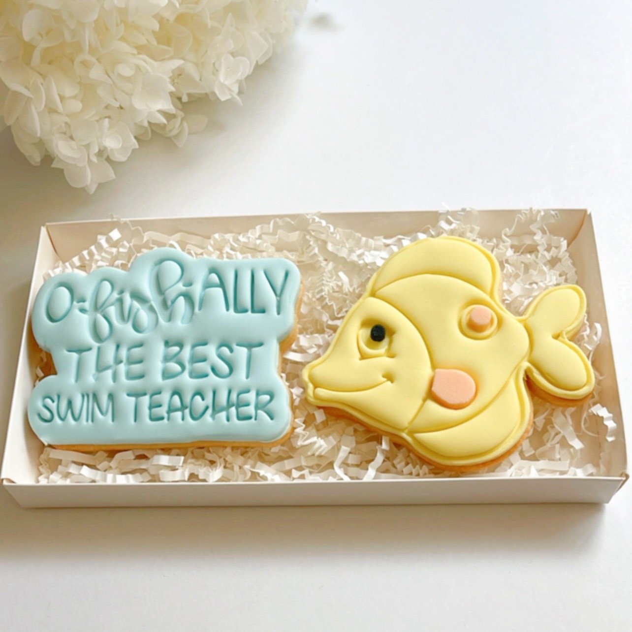 O-fish-ally the best swim teacher | Kneadbutter
