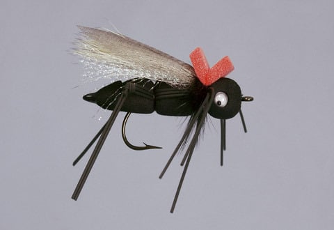 Ultimate Mormon Cricket | Eastern Trophies Fly Fishing