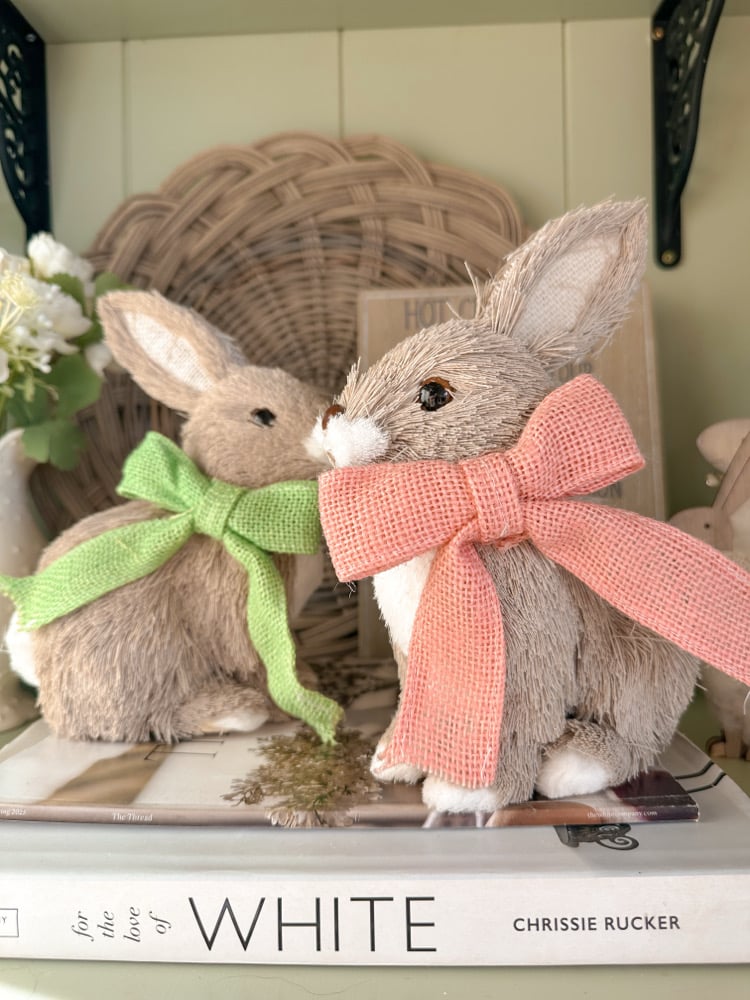 SALE! Coco & Bonnie Bunny ( 2 Options ) | With Love Abigailx