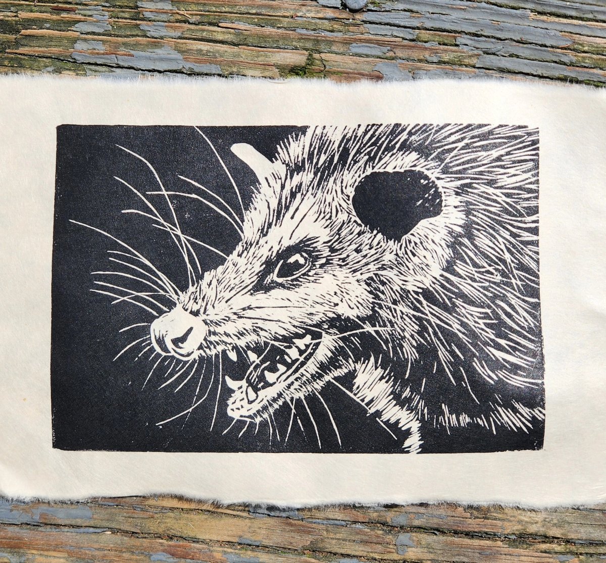Possum Print | Cosmic Devil Art