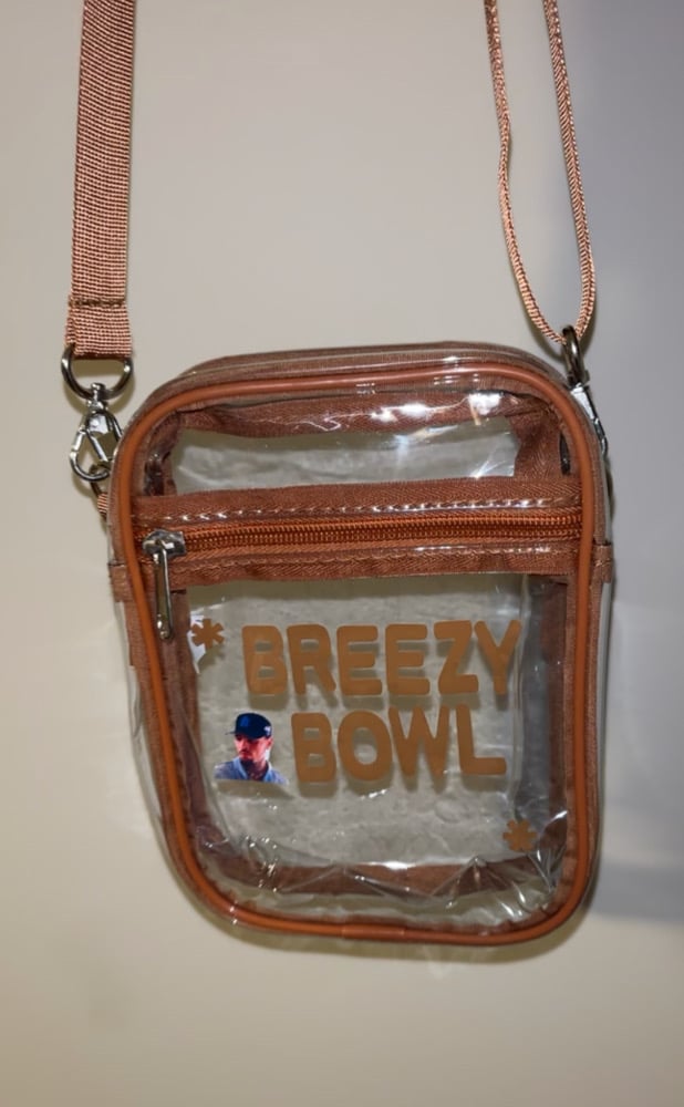 Custom Stadium Approved Bag | princessjewelsshop