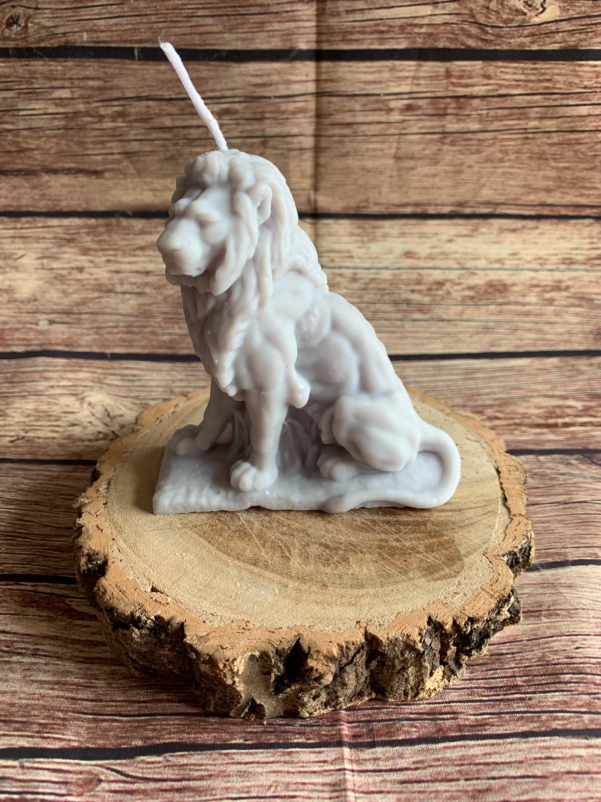 Common Room Guardian - Lion Shaped Soy Wax Pillar Candle | Bookshelf Burns