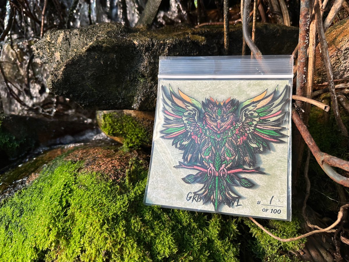 GROWTH OWL | The Hidden Loom