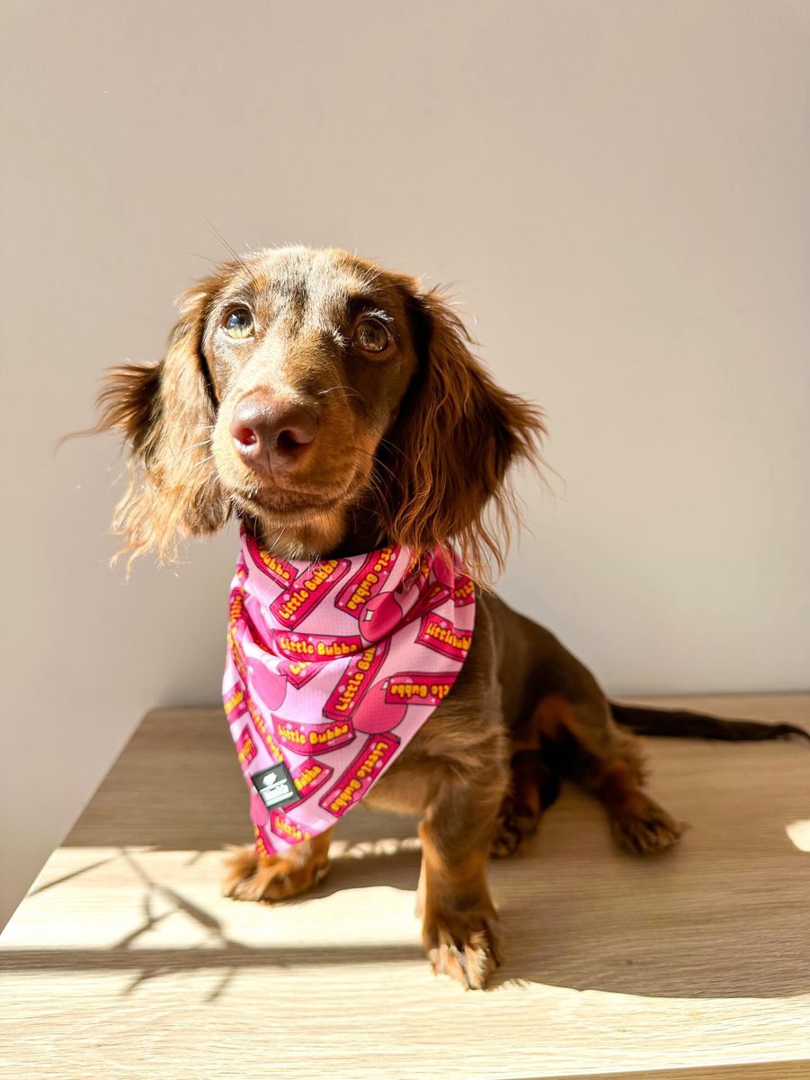 Edna & Co — Little Bubba Bandana
