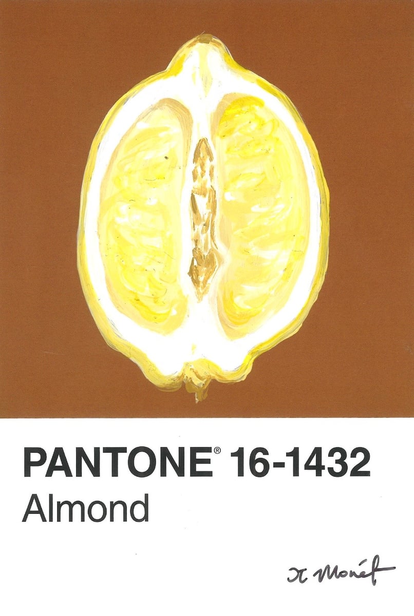 Exposed Lemon Postcard | CJ MONET ART
