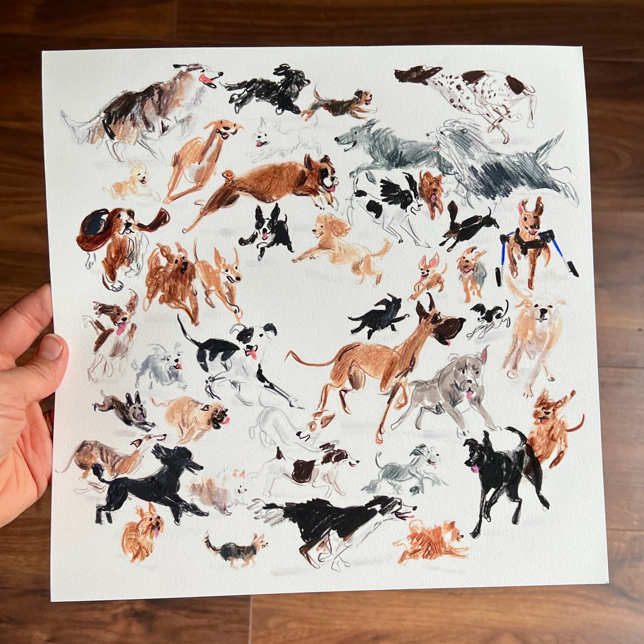 Zoomies - 30x30cm Giclee Print | Jenny Bloomfield Illustration