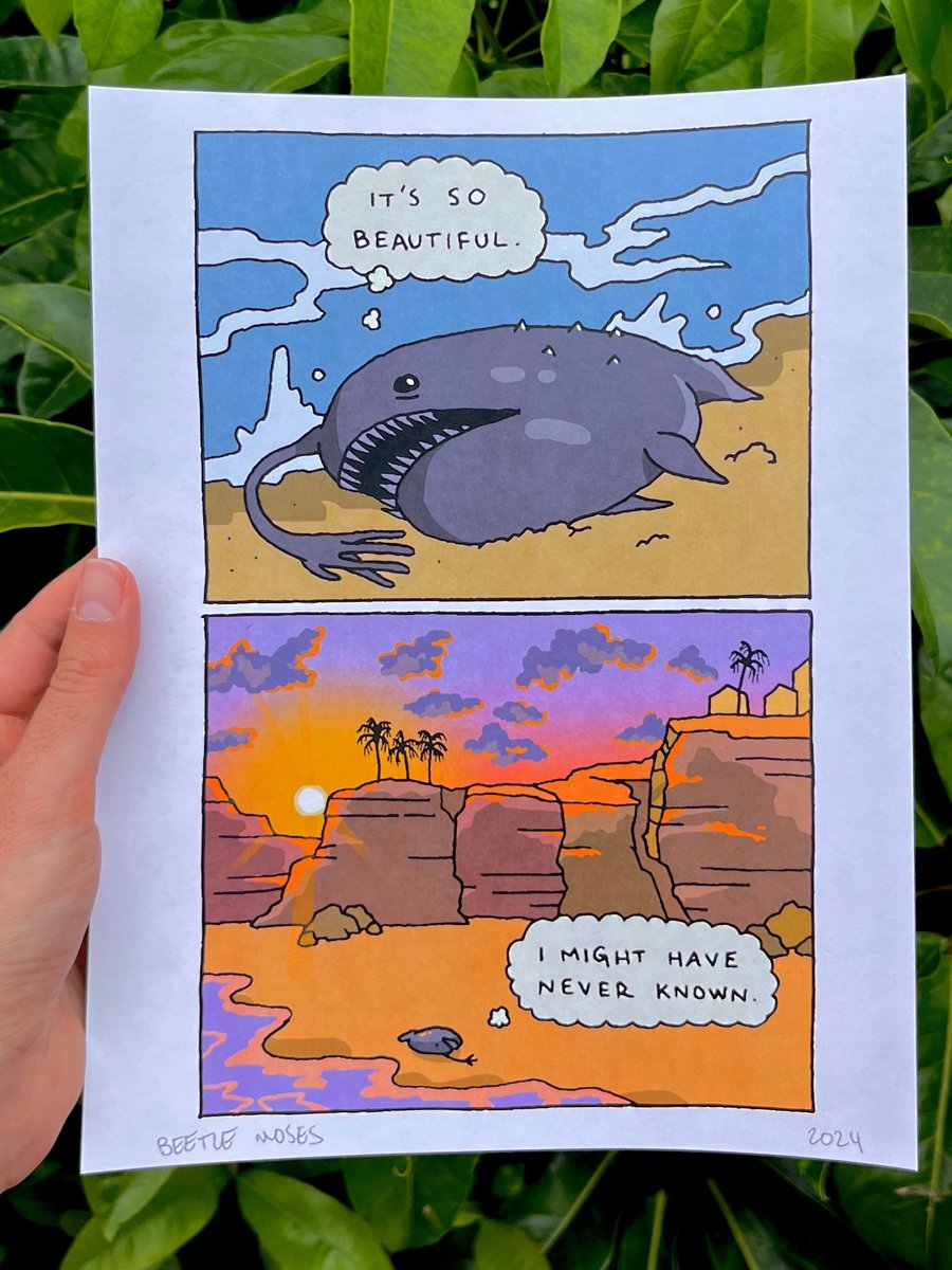 Angler Fish Signed Print | Beetle Moses