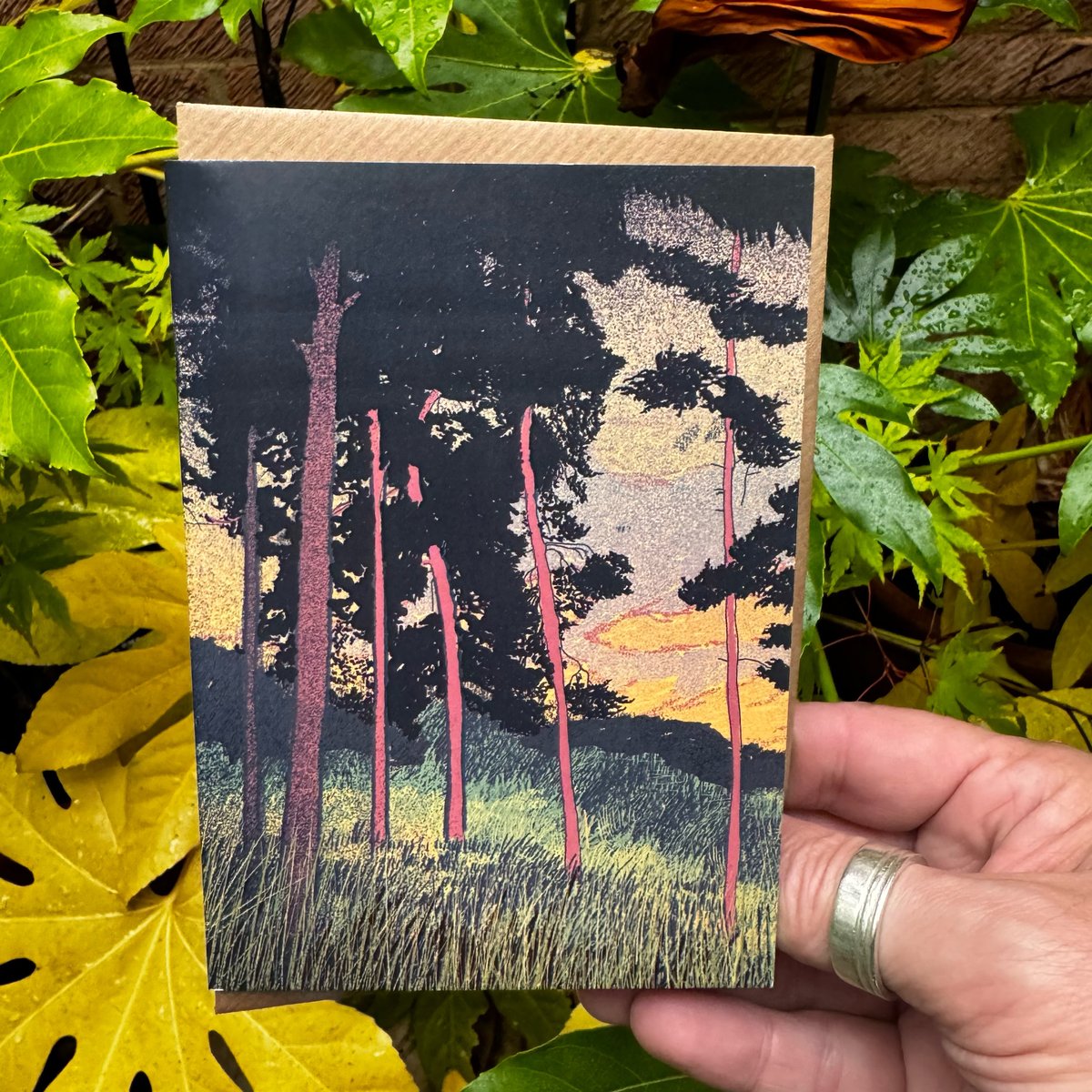 Greetings Cards | Jon Mackay