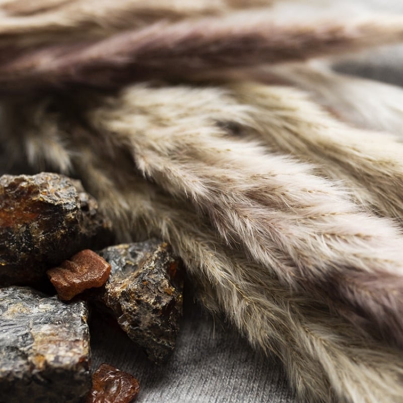 Warm Cashmere | Candle King LLC