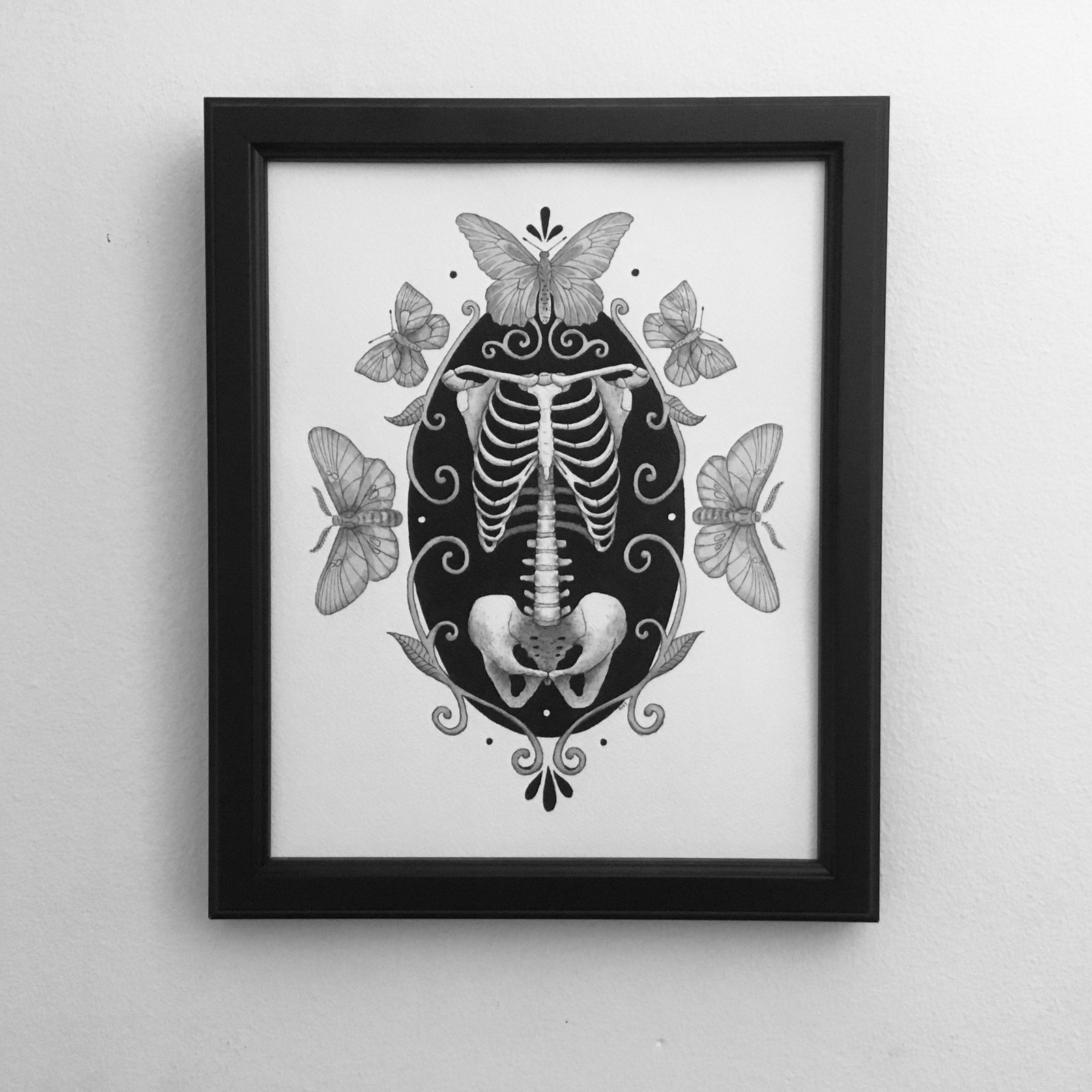 Skeleton With Moths And Butterflies Original Drawing | Jody Monochrome Art