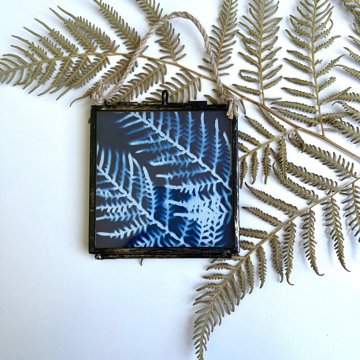 Wild Fern - Mini Framed Cyanotype | My Little Print Studio