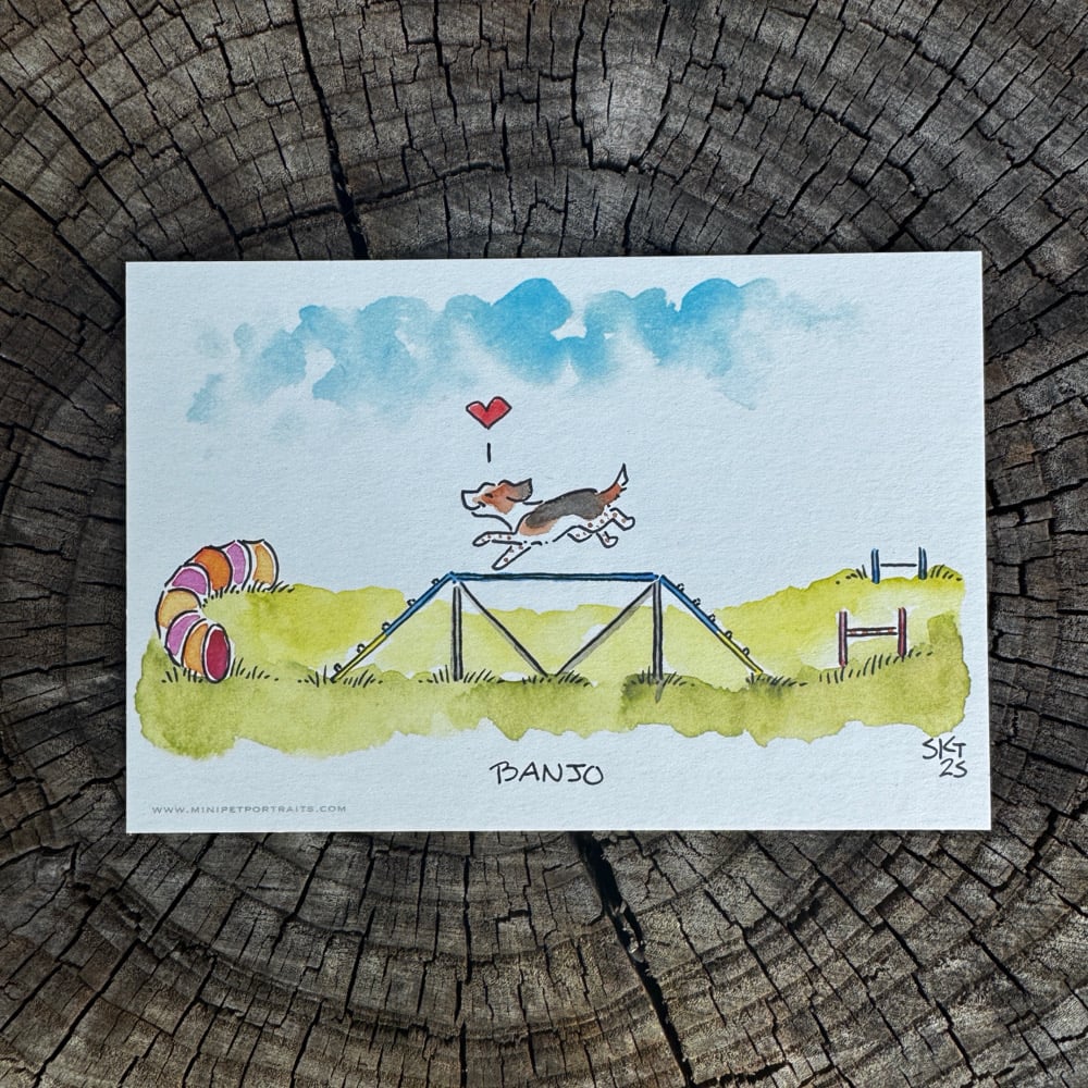 Agility Dog-Walk Mini | Mini Pet Portraits