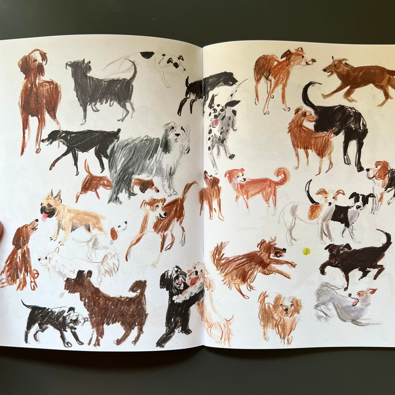 Sketchbook Dogs! - Sketchbook Zine | Jenny Bloomfield Illustration