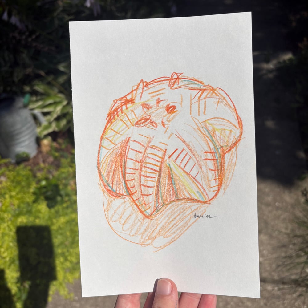 Original Fossil Drawing 2 | Microbiome Arts